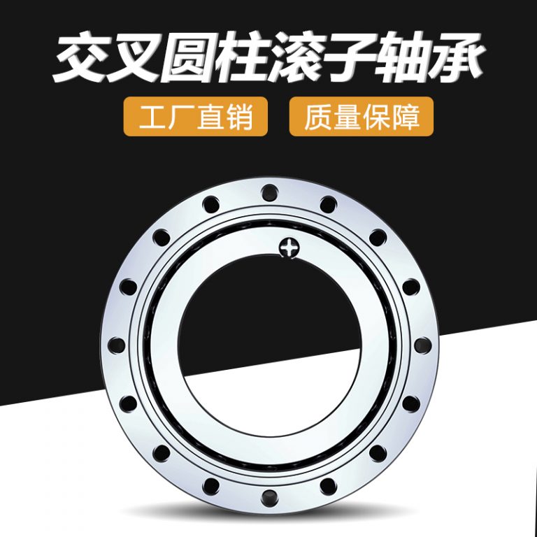 CYS超音速SHD-11机械心脏 交叉圆柱滚子轴承 型号齐全，接受定制 - 超音速模型